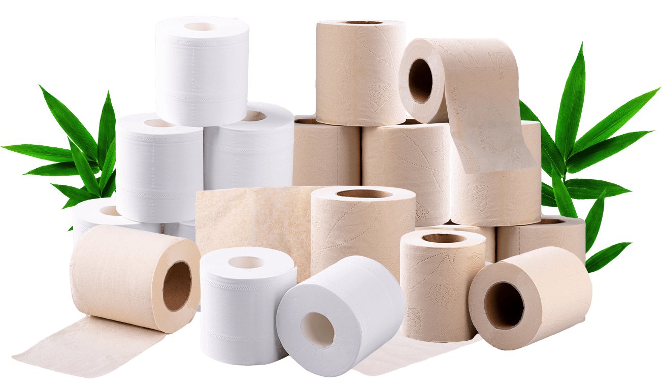 Bamboo vs. Wood Pulp Toilet Papers - Which Type to Choose - Donsea Paper